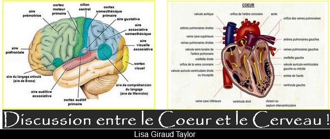 Épisode 1 : Discussion cœur/cerveau : feuilleton de l'été ! - Lisa ...
