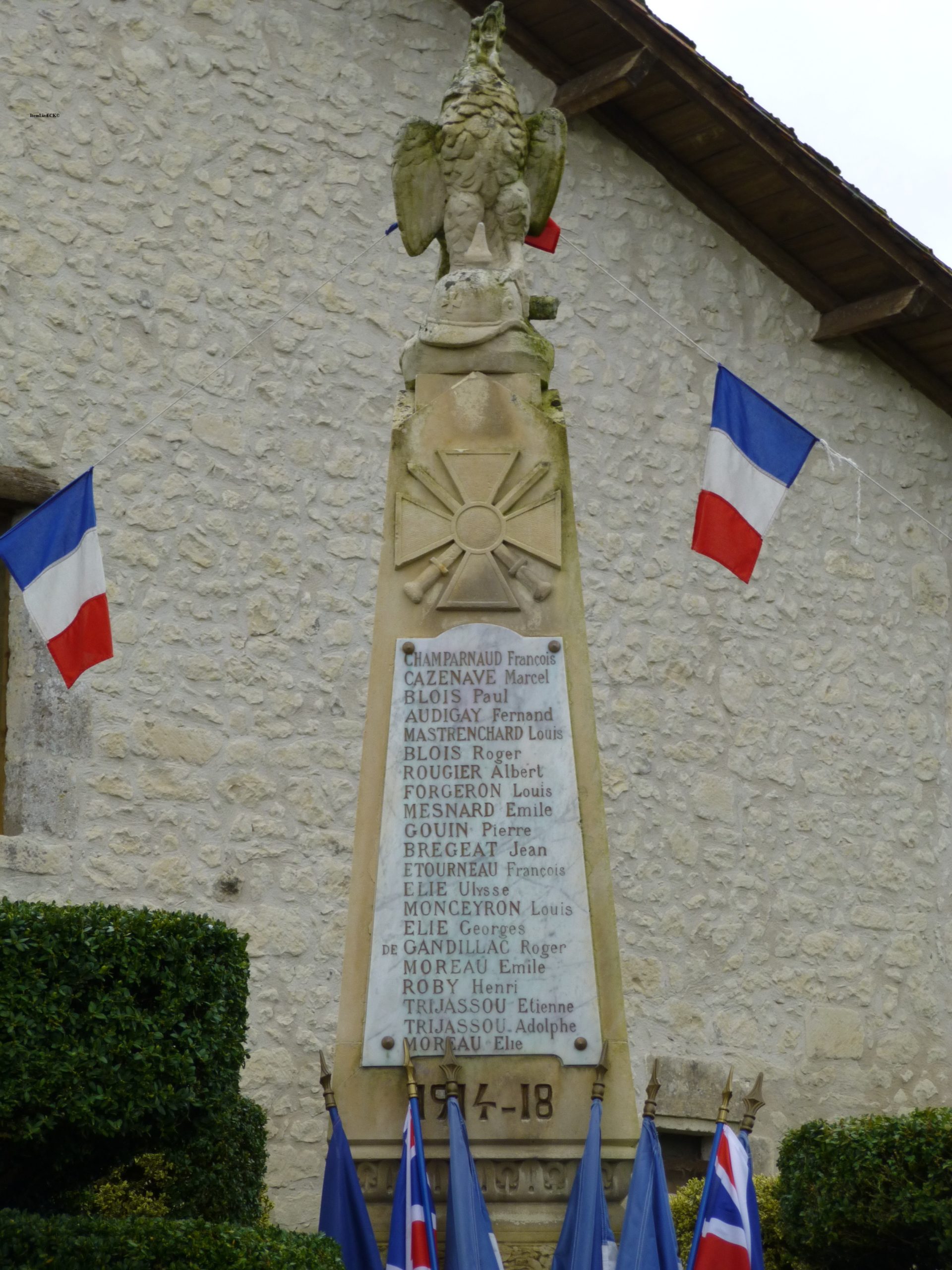 Hommage à mes poilus - Lisa Giraud Taylor - Auteur