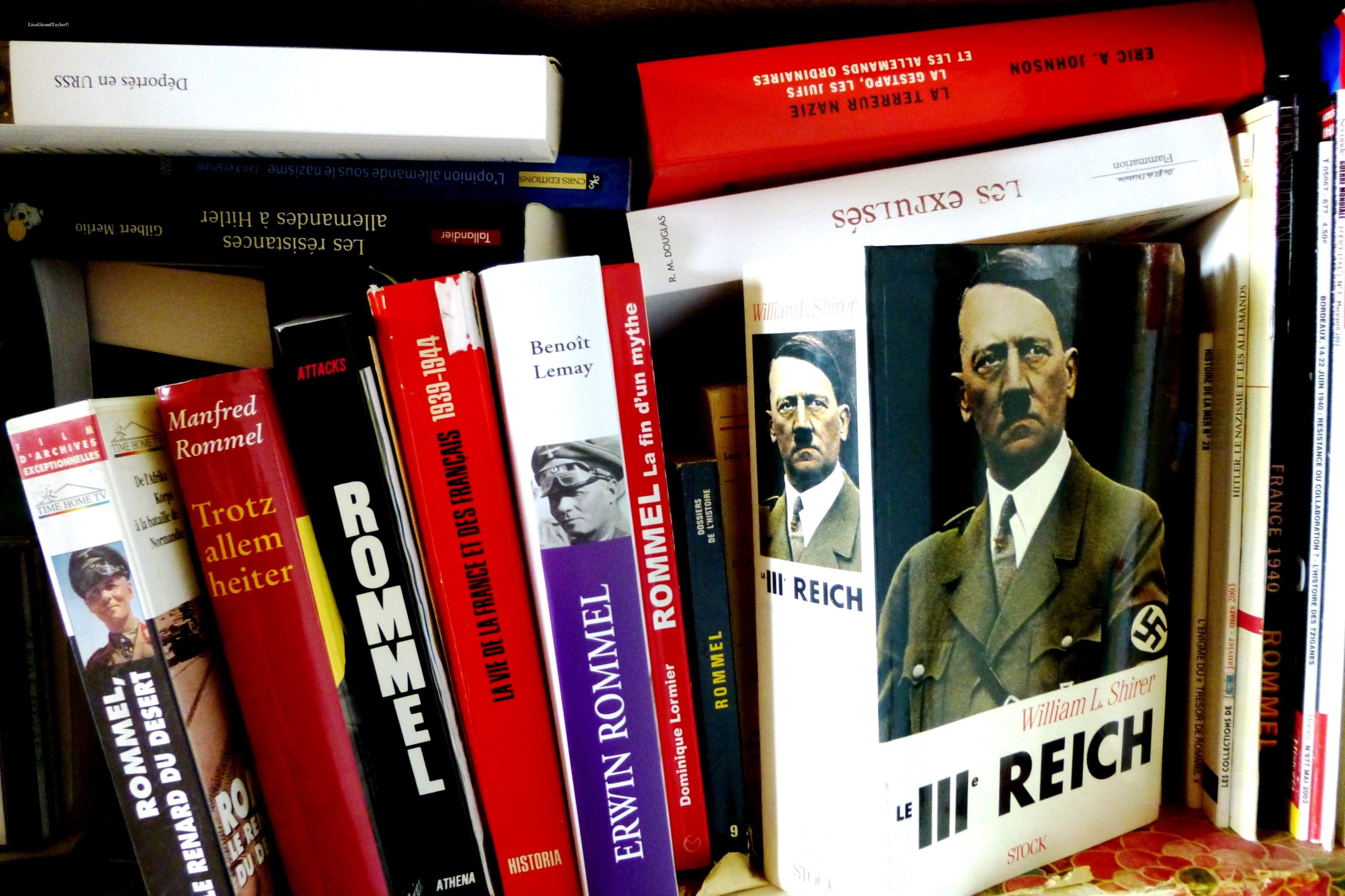 L'Histoire n'est-elle pas dépassée ? - Lisa Giraud Taylor - Auteur